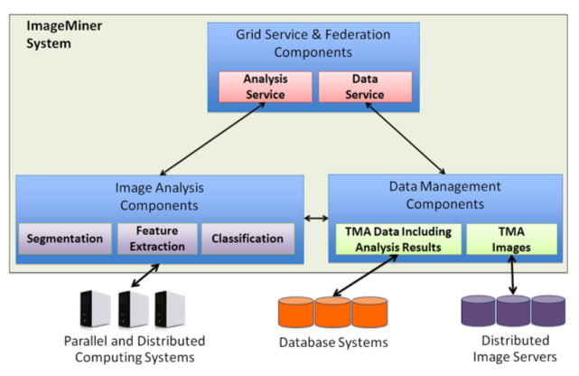 Image Mining for Analysis of Expression Patterns in Tissue Microarray ...